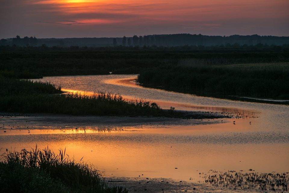 Delectare in Delta Dunarii Maliuc Pensiunea Aqua Villa Pico Mar Travel