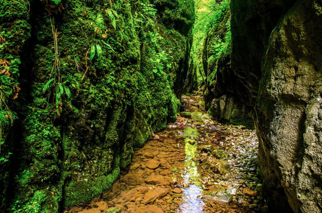 Sejur odihna 2022 Arieseni Pensiunea Skipass*** Pico Mar Travel