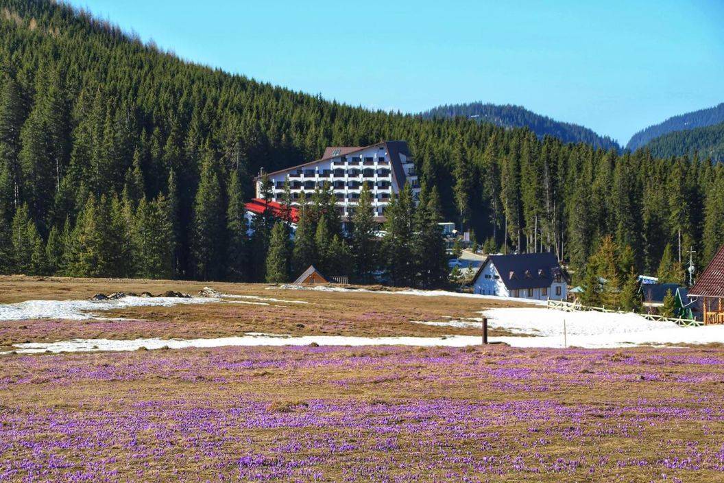 Craciunul 2023 in Parcul Natural Bucegi Hotel Pestera Pico Mar Travel