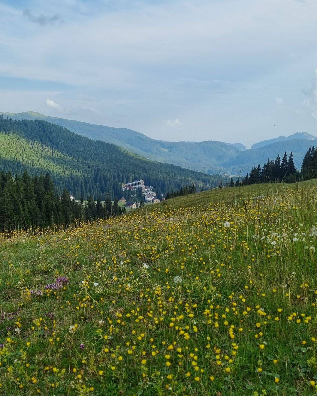 Sarbatori de Pasti 2024 in Parcul Natural Bucegi Hotel Pestera**** Pico ...