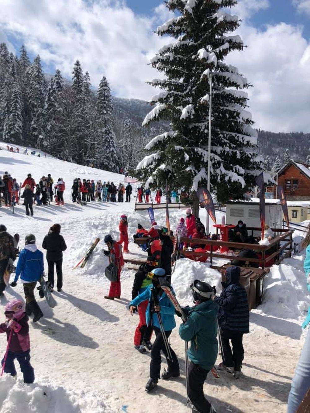 O saptamana la Munte 2023 Azuga Pensiunea Flora Alpina**** Pico Mar Travel