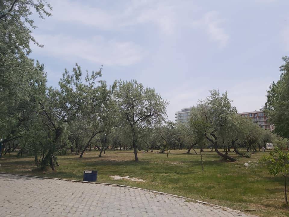 Litoral 2020 Mamaia - Camping Holiday GPM*** Pico Mar Travel