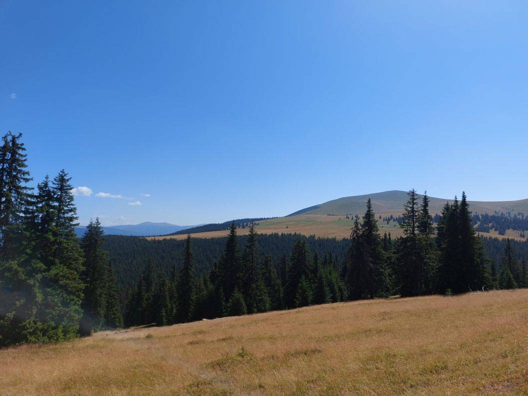 Vacanta 2023 in Muntii Sureanu Pensiunea Perla Martiniei**** Pico Mar ...