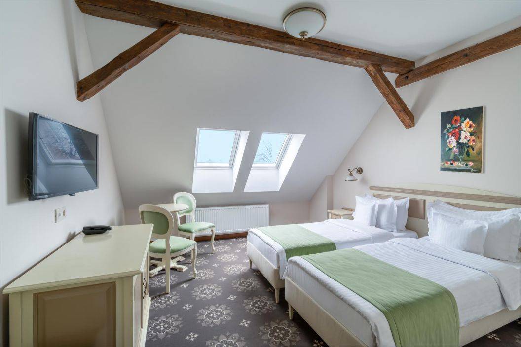 Cazare 2023 Sebes Hotel Leul de Aur**** Pico Mar Travel