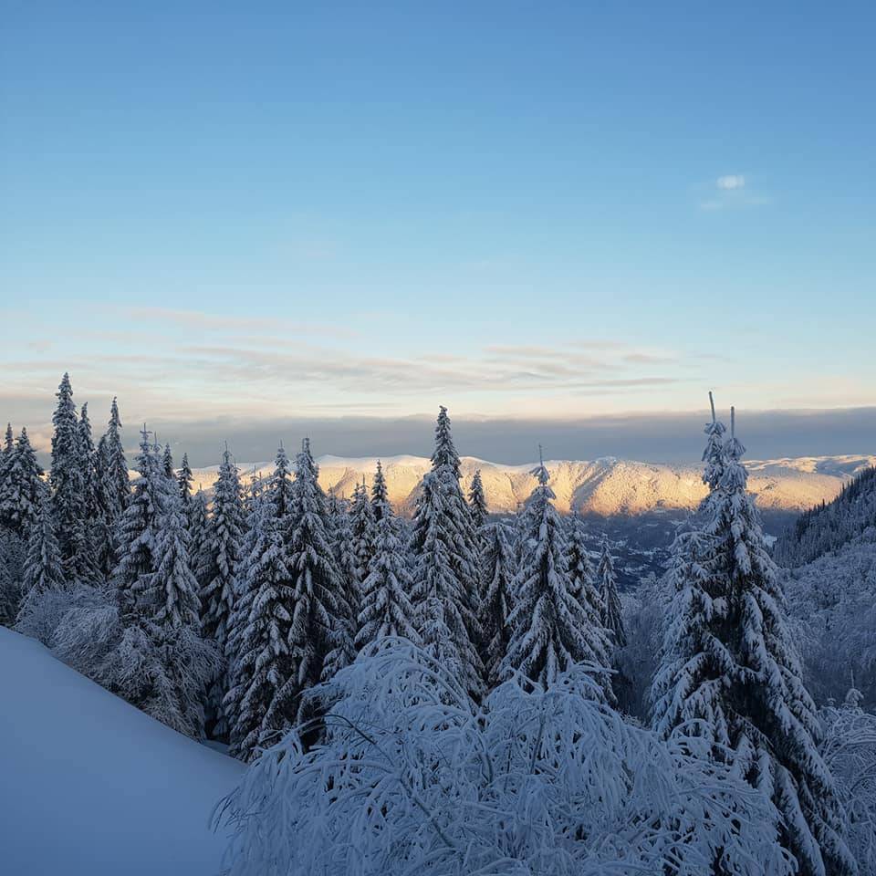 Revelion 2023 la Schi in Straja Cabana Edelweiss*** Pico Mar Travel