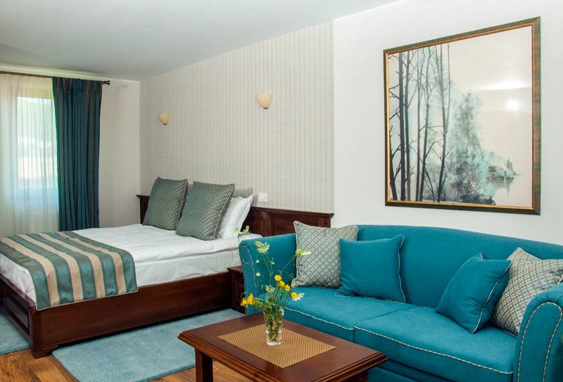 Revelion 2022 in Slanic Prahova Pensiunea Muntele Verde**** Pico Mar Travel