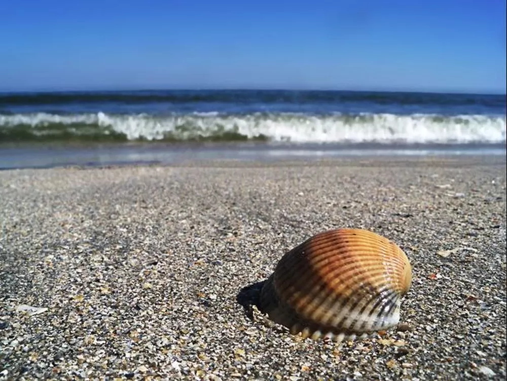 Sarbatori de Pasti si 1 Mai 2021 Eforie Nord Hotel Pinguin*** Pico Mar ...