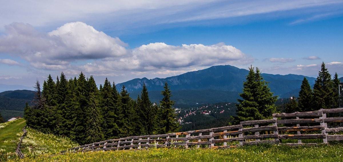 Sejur Munte Predeal Andy Grand Hotel Pico Mar Travel