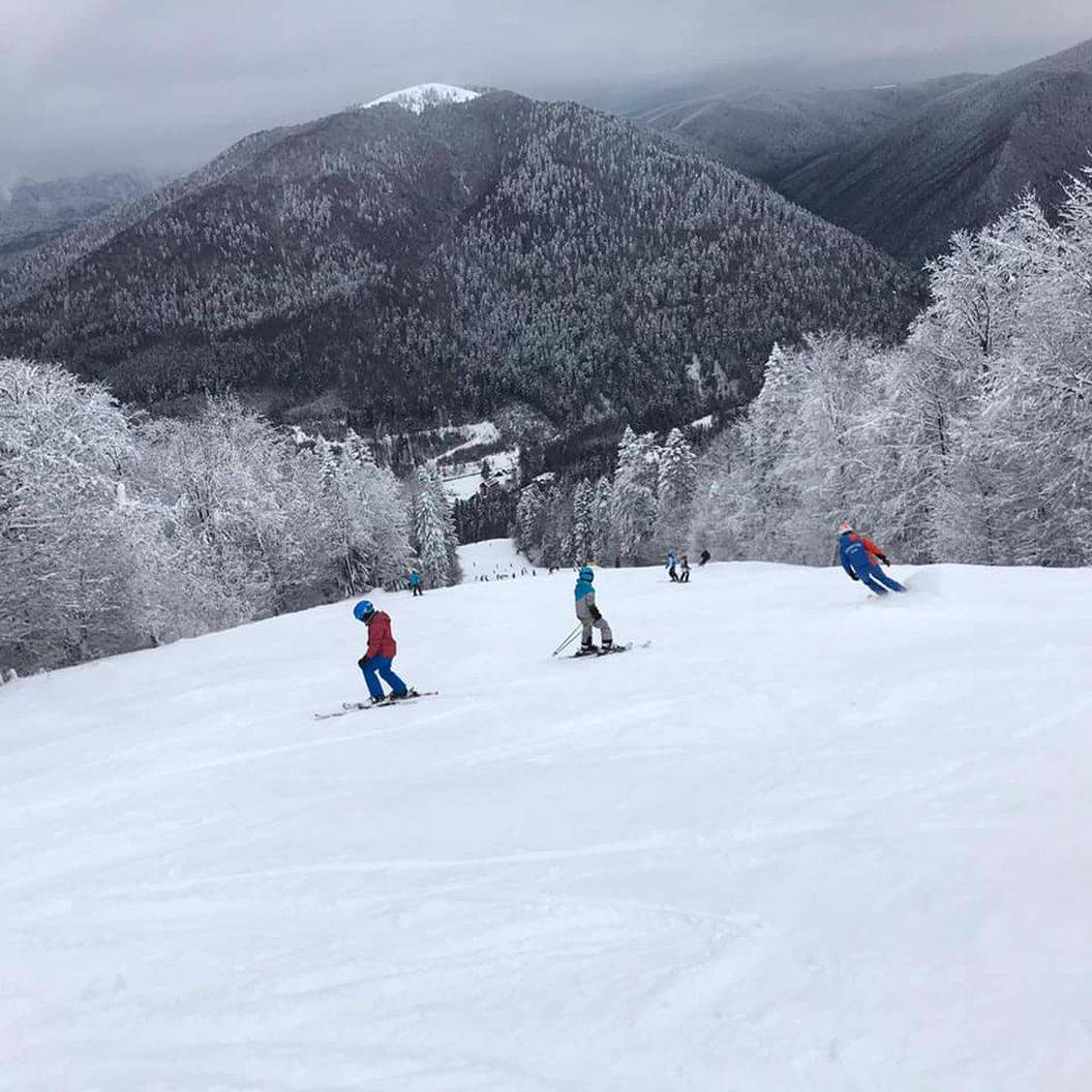 Revelion 2024 Azuga Pensiunea Flora Alpina**** Pico Mar Travel