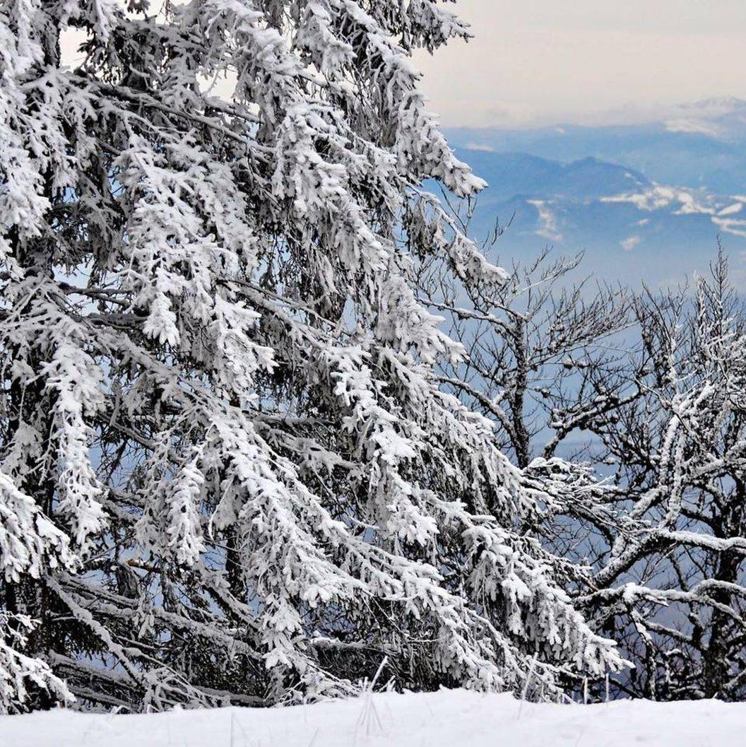 Revelion 2024 Maramures Sighetu Marmatiei Hotel Gradina Morii Pico Mar ...
