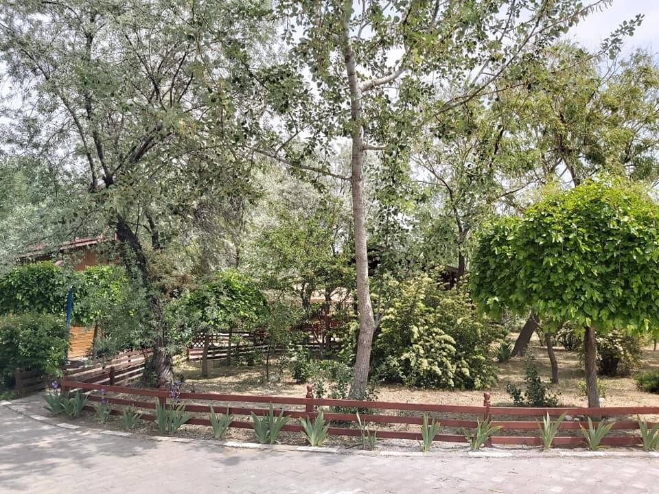 Litoral 2020 Mamaia - Camping Holiday GPM*** Pico Mar Travel