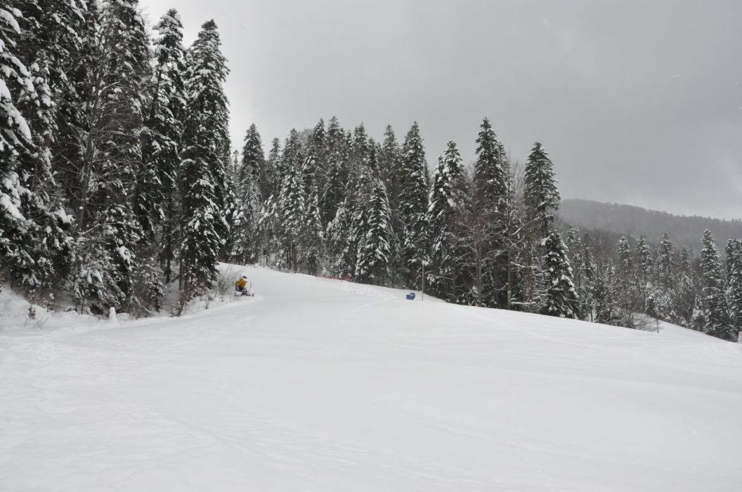 O saptamana la Munte 2023 Azuga Pensiunea Flora Alpina**** Pico Mar Travel