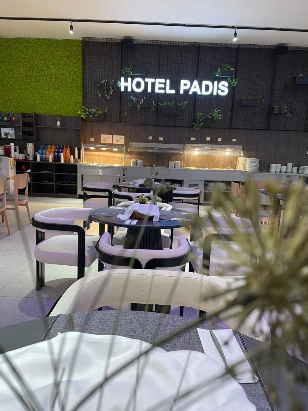 Tratament Balnear 2024 Baile Felix Hotel Padis*** Asigurati Pico Mar Travel