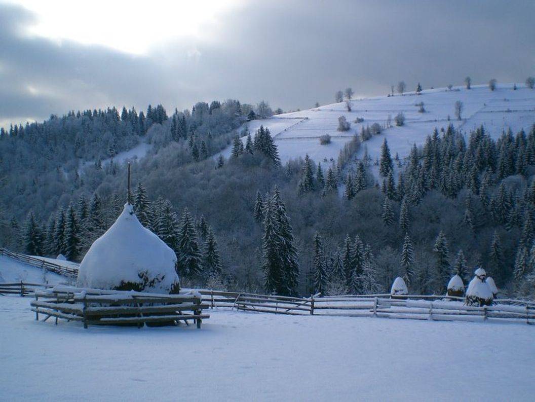 Craciun 2024 Muntii Apuseni Arieseni Pensiunea Casa Motului Pico Mar Travel