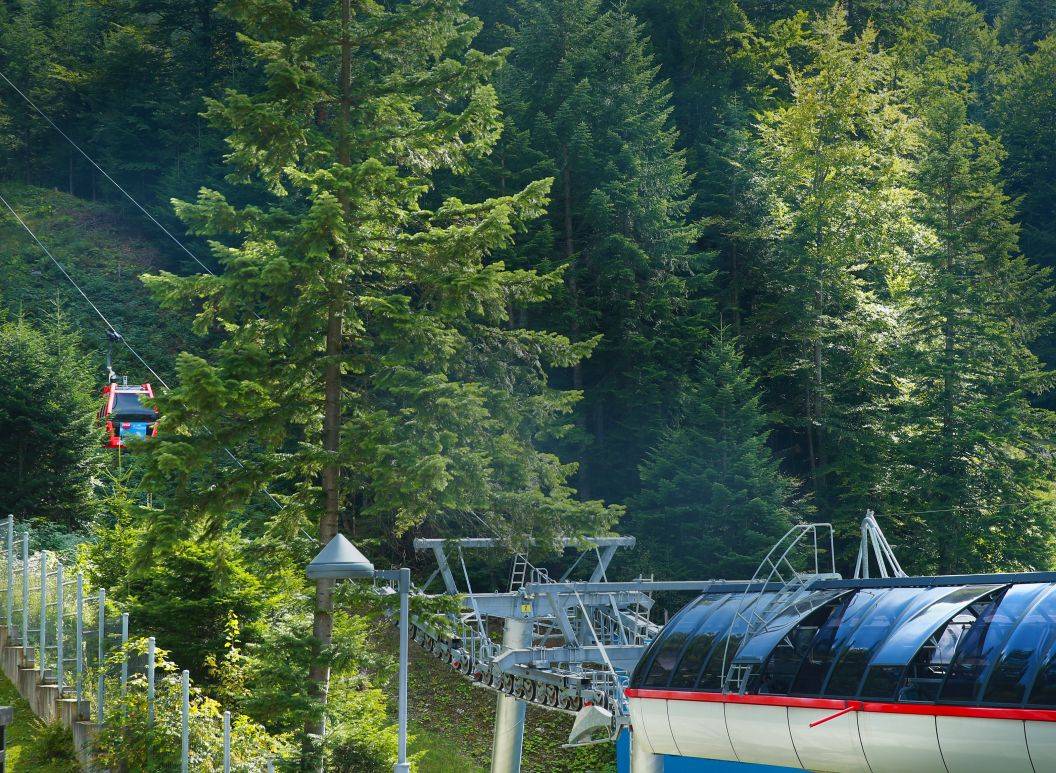 Revelion 2021 in Azuga Hotel Lux Garden***** Pico Mar Travel