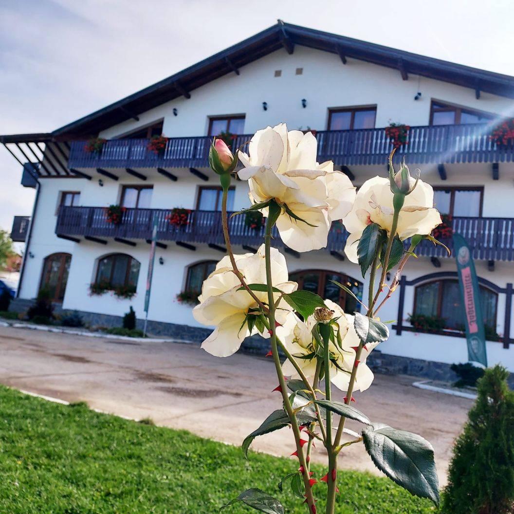 Craciunul 2023 in Rasnov Complex Panicel*** Pico Mar Travel