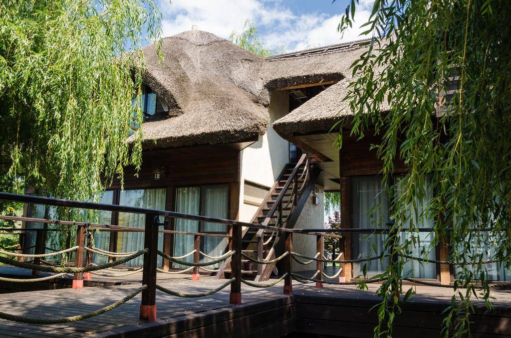 Delectare in Delta Dunarii Maliuc Pensiunea Aqua Villa Pico Mar Travel