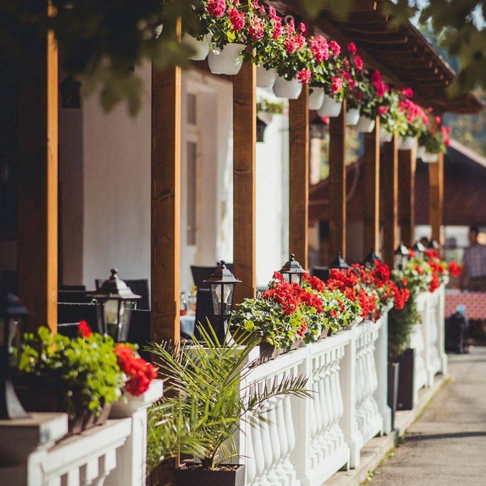 Sejur Odihna Baile Homorod Hotel Homorod Pico Mar Travel